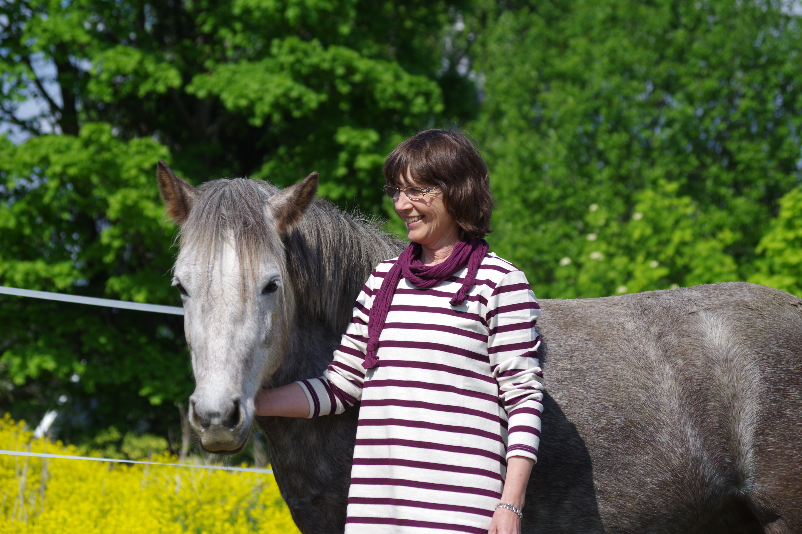 Avlsavdelingen - STIFTELSEN NORSK HESTESENTER